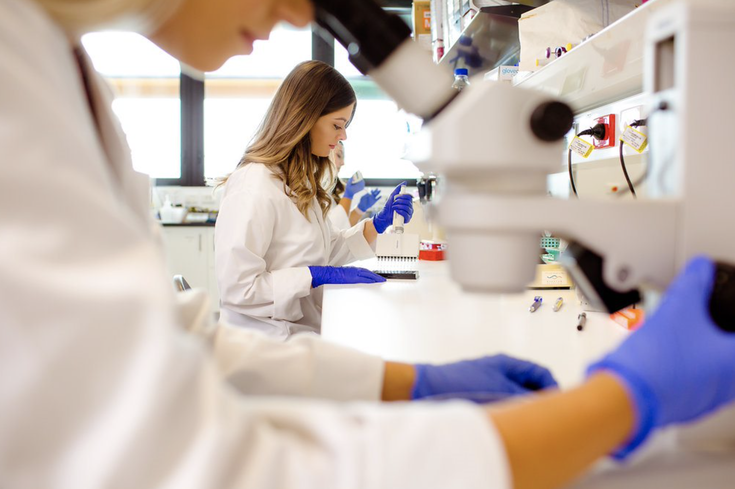 Ovarian Cancer Research Foundation - News - What history tells us about ...