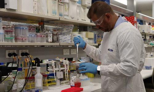 $2.9M Government partnership for ovarian cancer early detection project ...