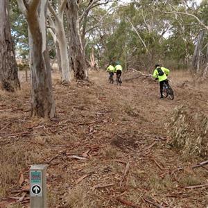 Ovarian Cancer Research Foundation - 100k’s No Limits - 2 day Kidman ...
