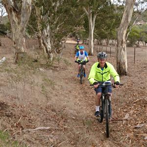 Ovarian Cancer Research Foundation - Jon Inglis